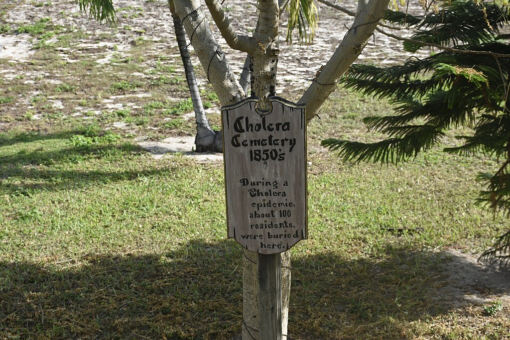 14 Epidemics That Changed America Forever – theamazingmomlife.net