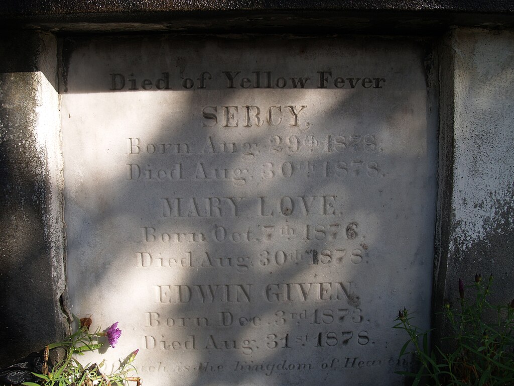 14 Epidemics That Changed America Forever – theamazingmomlife.net