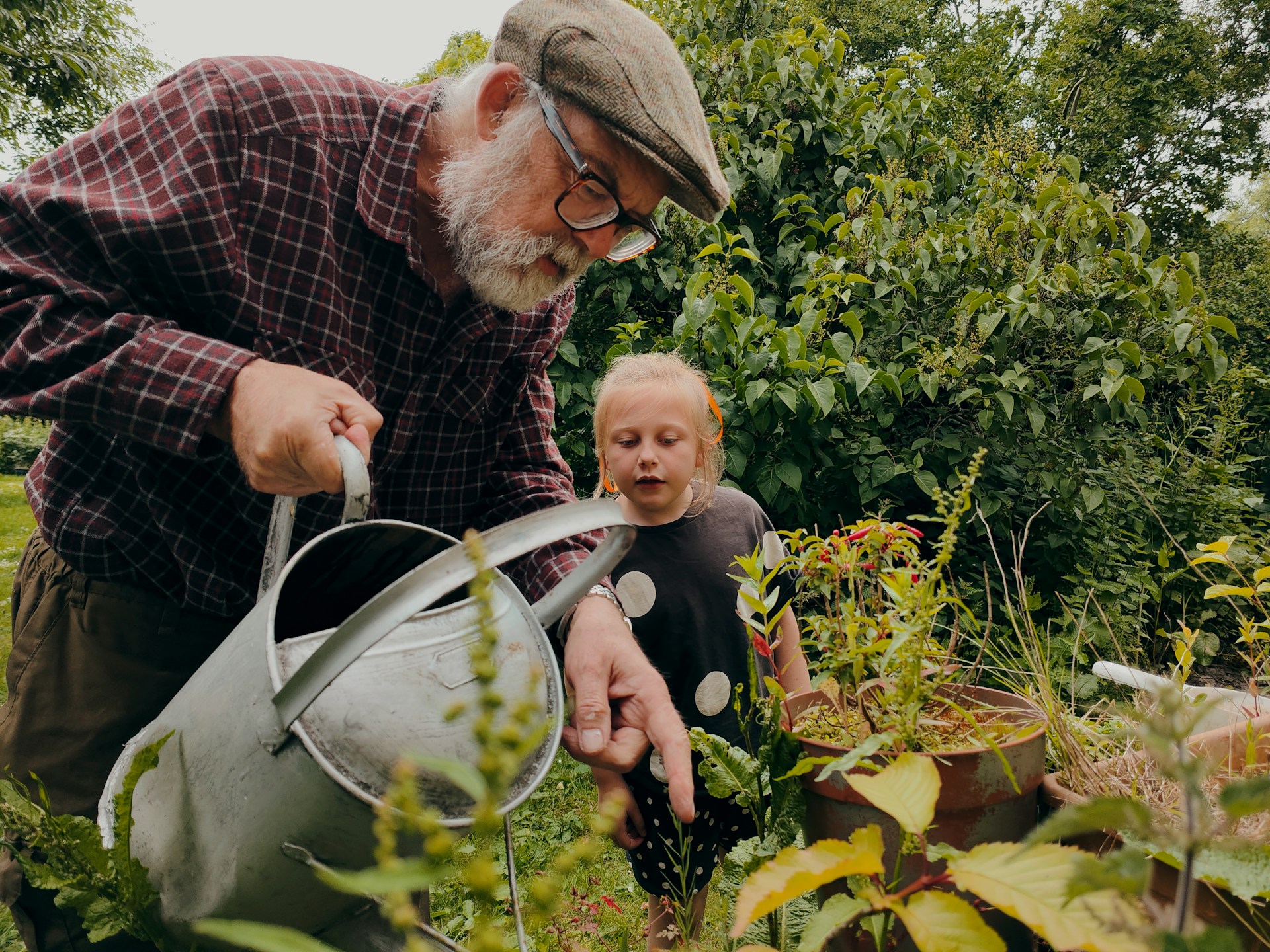 5 Grandparent Activities You’re Missing Out on: Don’t let your ...